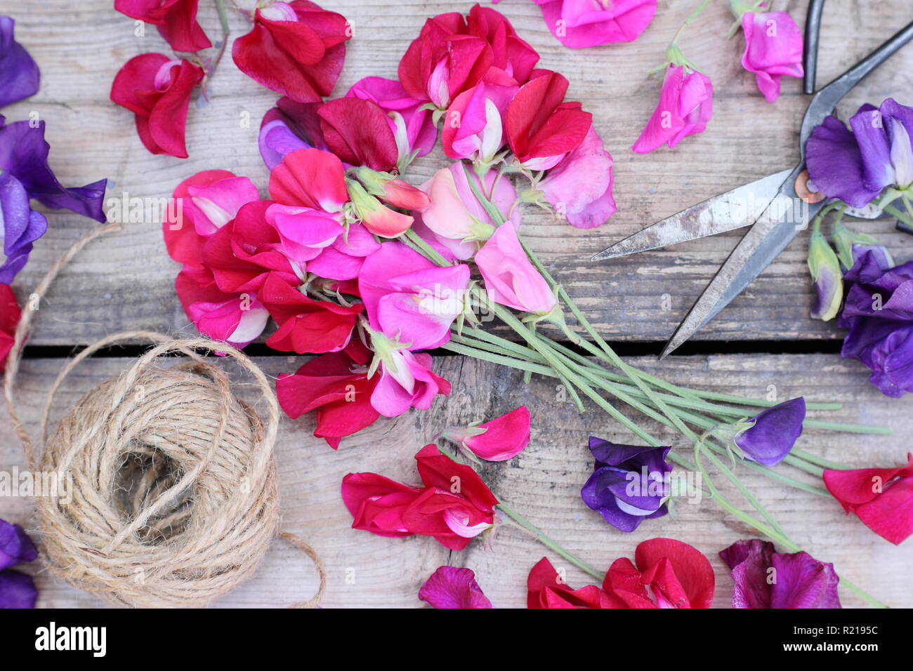 Pick flowers hi-res stock photography and images - Alamy