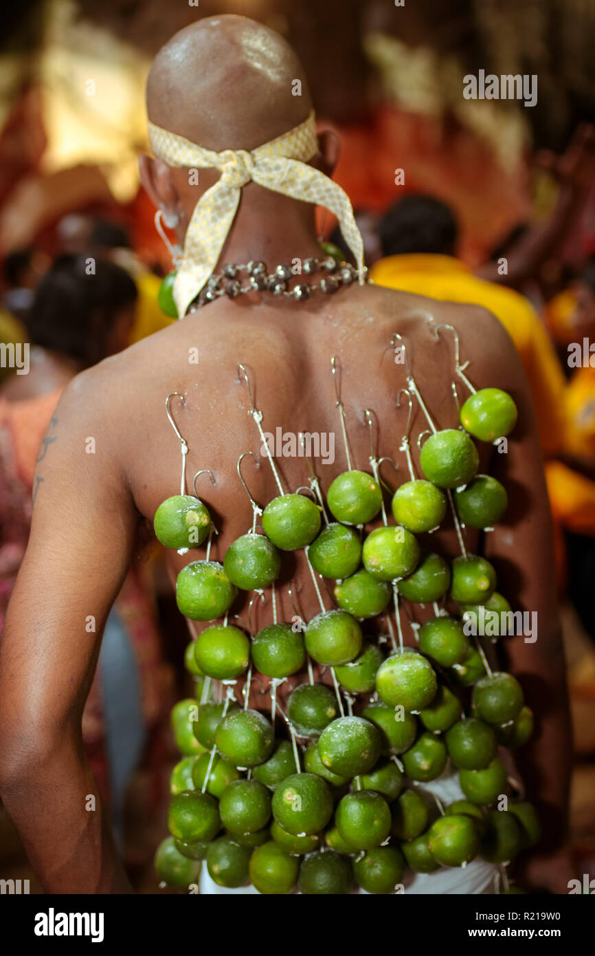 Kavadi Ritual High Resolution Stock Photography and Images - Alamy