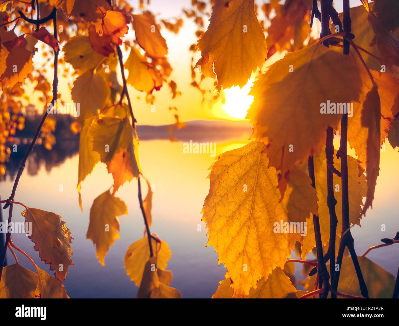 Autumn lake scene from Sotkamo, Finland Stock Photo - Alamy