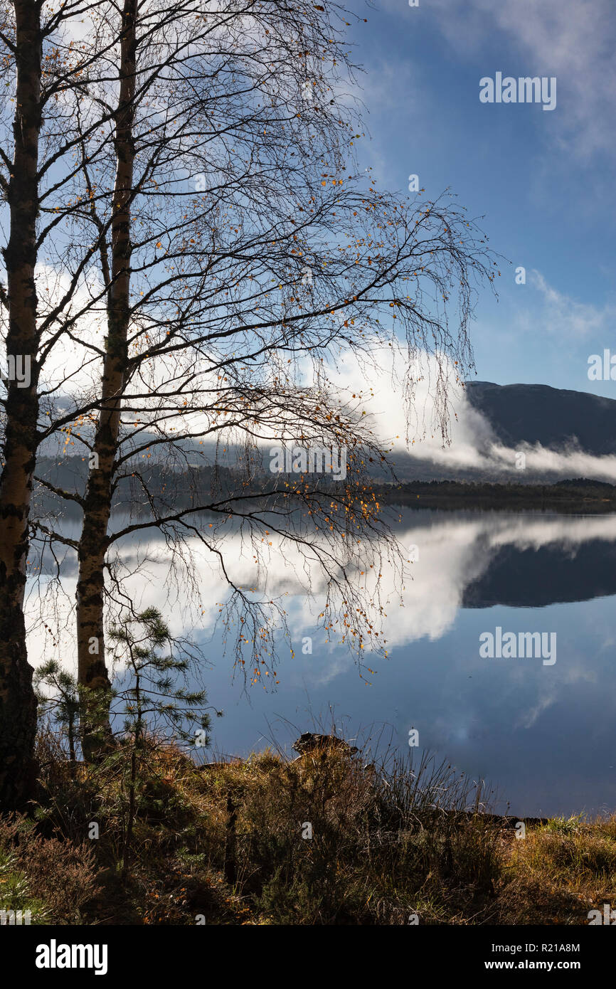 Loch Garten in the Cairngorms National Park of Scotland Stock Photo - Alamy