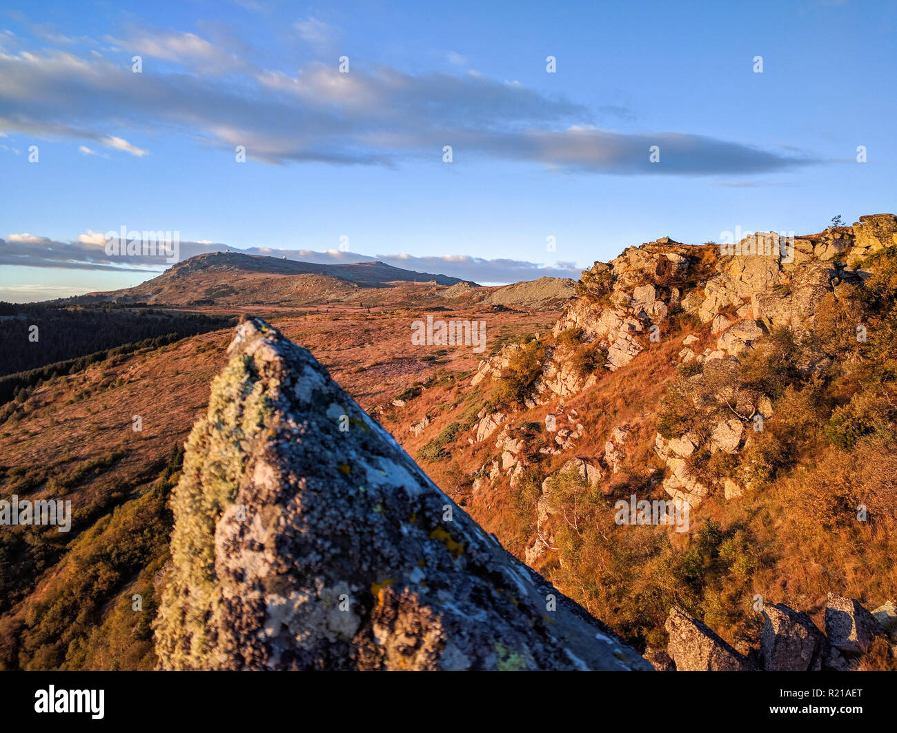 The magical colors of autumn - beautiful fall image from the forest of ...