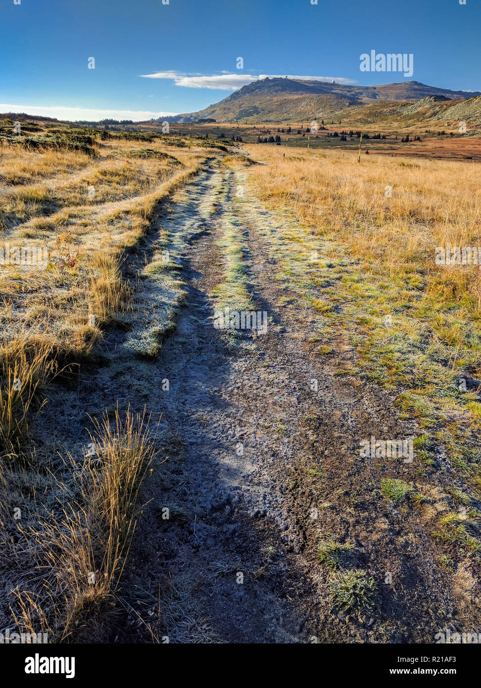 The magical colors of autumn - beautiful fall image from the forest of ...
