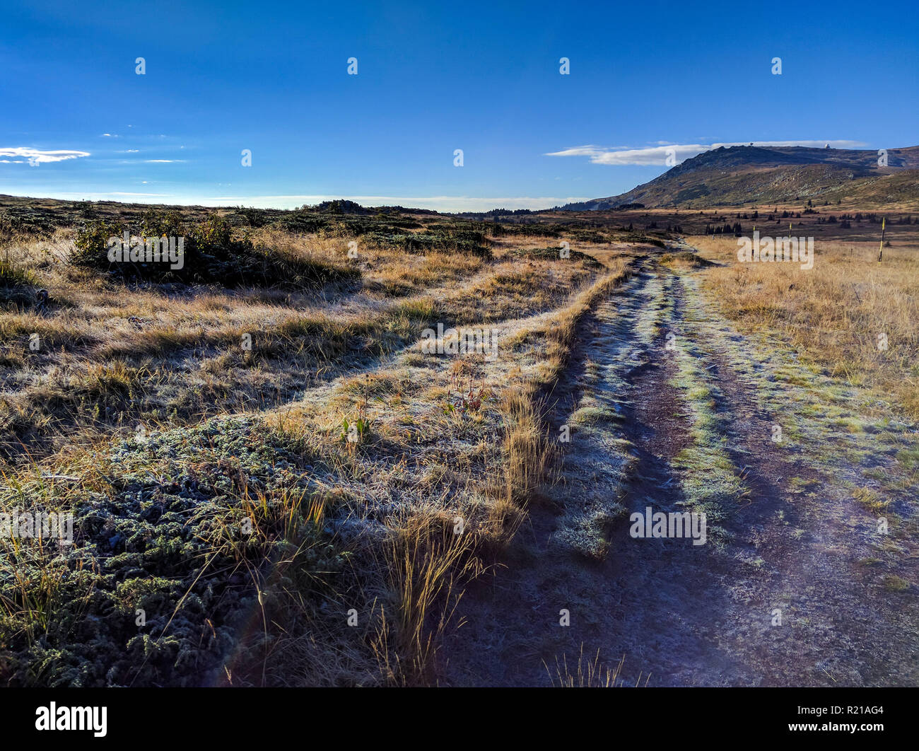 The magical colors of autumn - beautiful fall image from the forest of ...