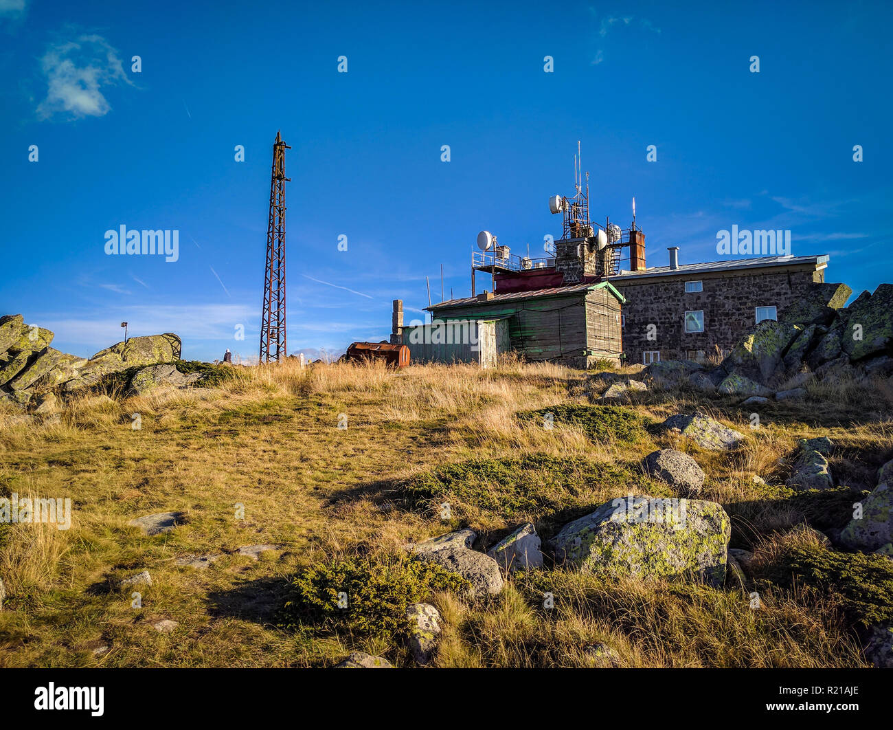 The magical colors of autumn - beautiful fall image from the forest of ...