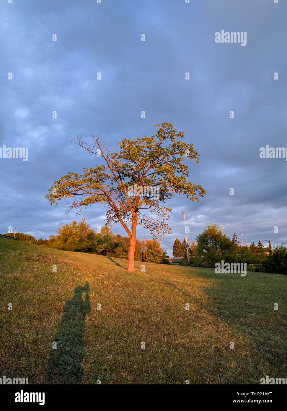 The magical colors of autumn - beautiful fall image from the forest of ...