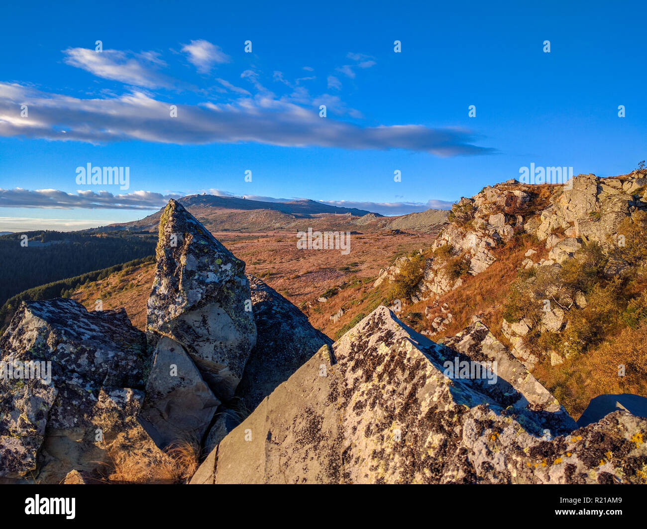 The magical colors of autumn - beautiful fall image from the forest of ...