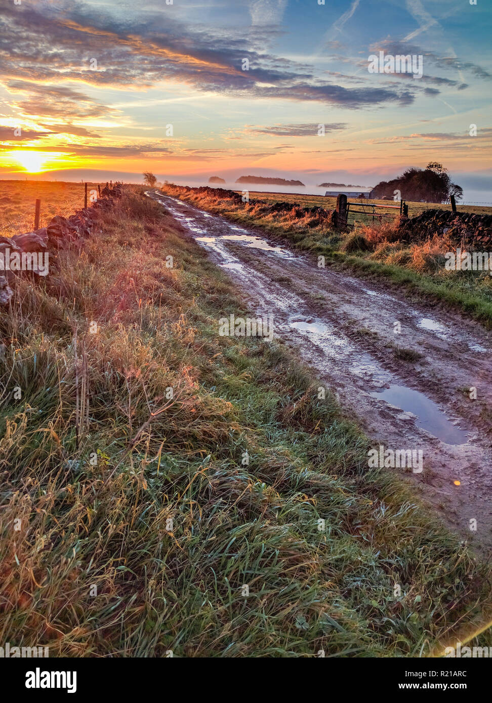 The magical colors of autumn - beautiful fall image from the forest of ...