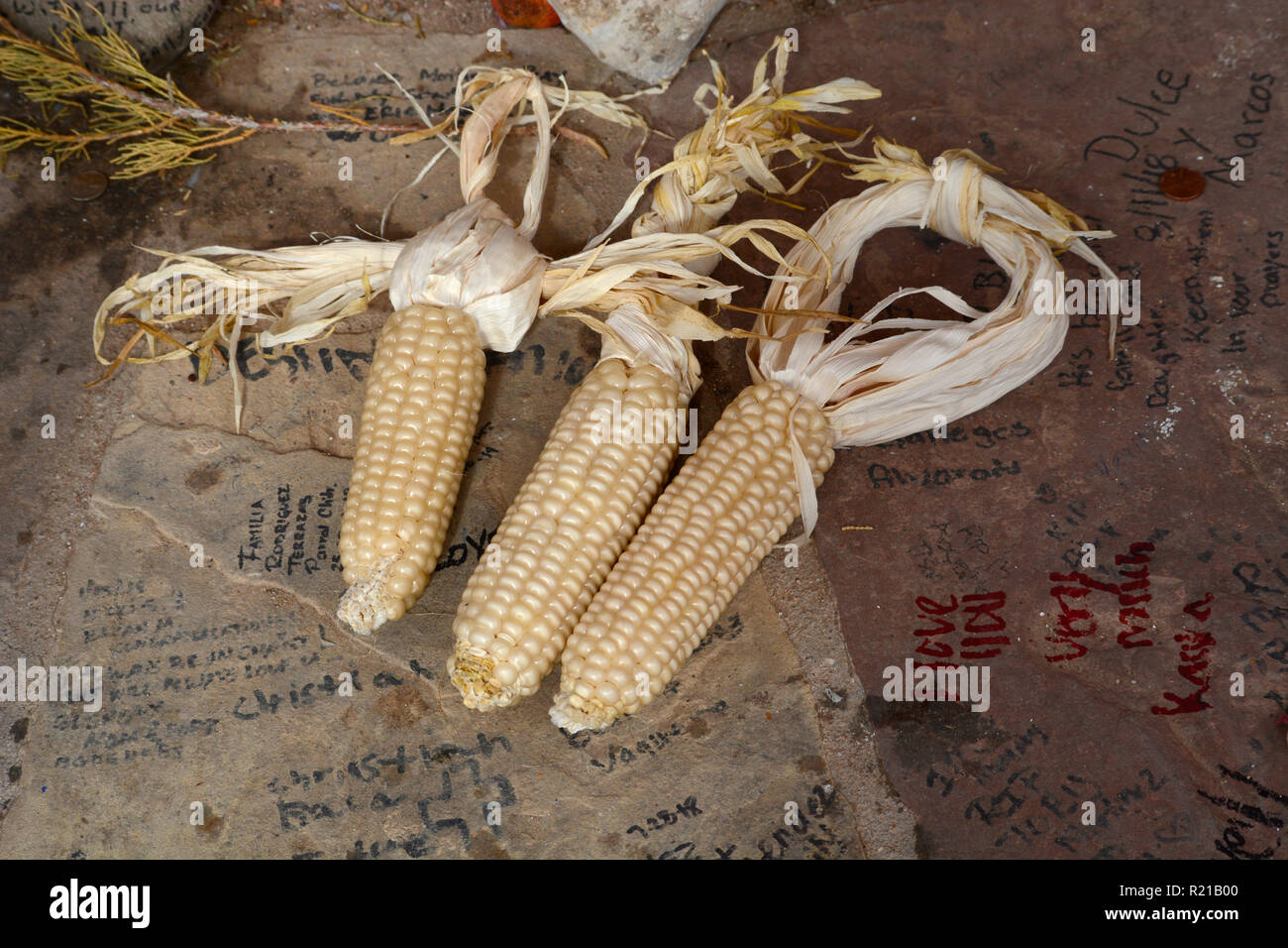 Ears of sacred white corn left be worshippers at El Santuario de ...