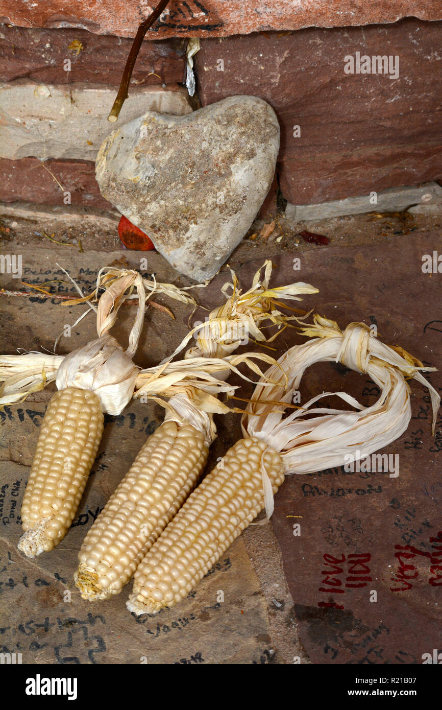 Ears of sacred white corn left be worshippers at El Santuario de ...