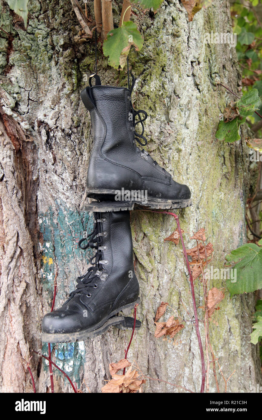 Old worn and broken hiking boots hanging on a tree Stock Photo - Alamy
