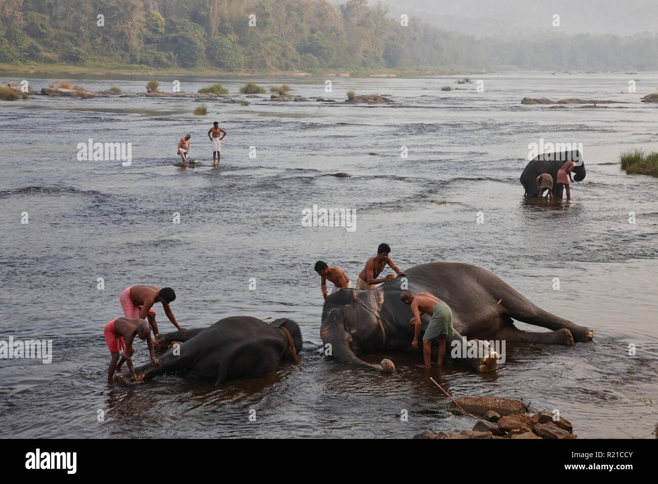 Elephants mahout hi-res stock photography and images - Alamy