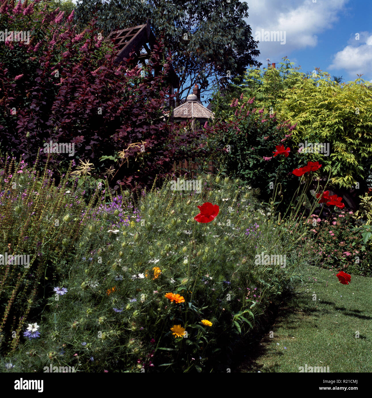 Border borders hi-res stock photography and images - Alamy