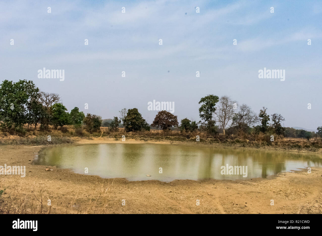 Indian rural pond getting dry in summer season close up snap with trees ...