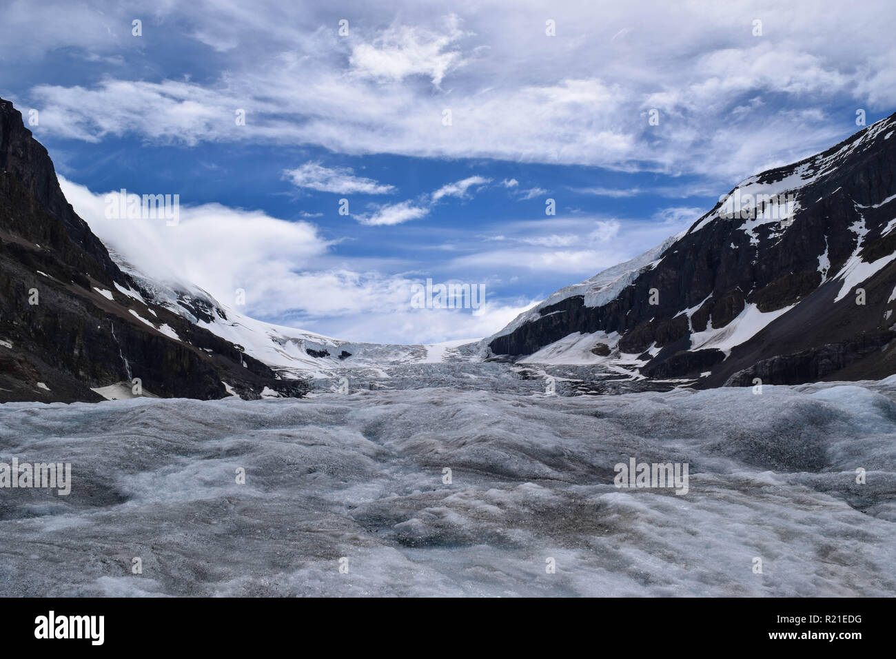 Columbia Ice Fields in the mountains of Alberta Stock Photo - Alamy