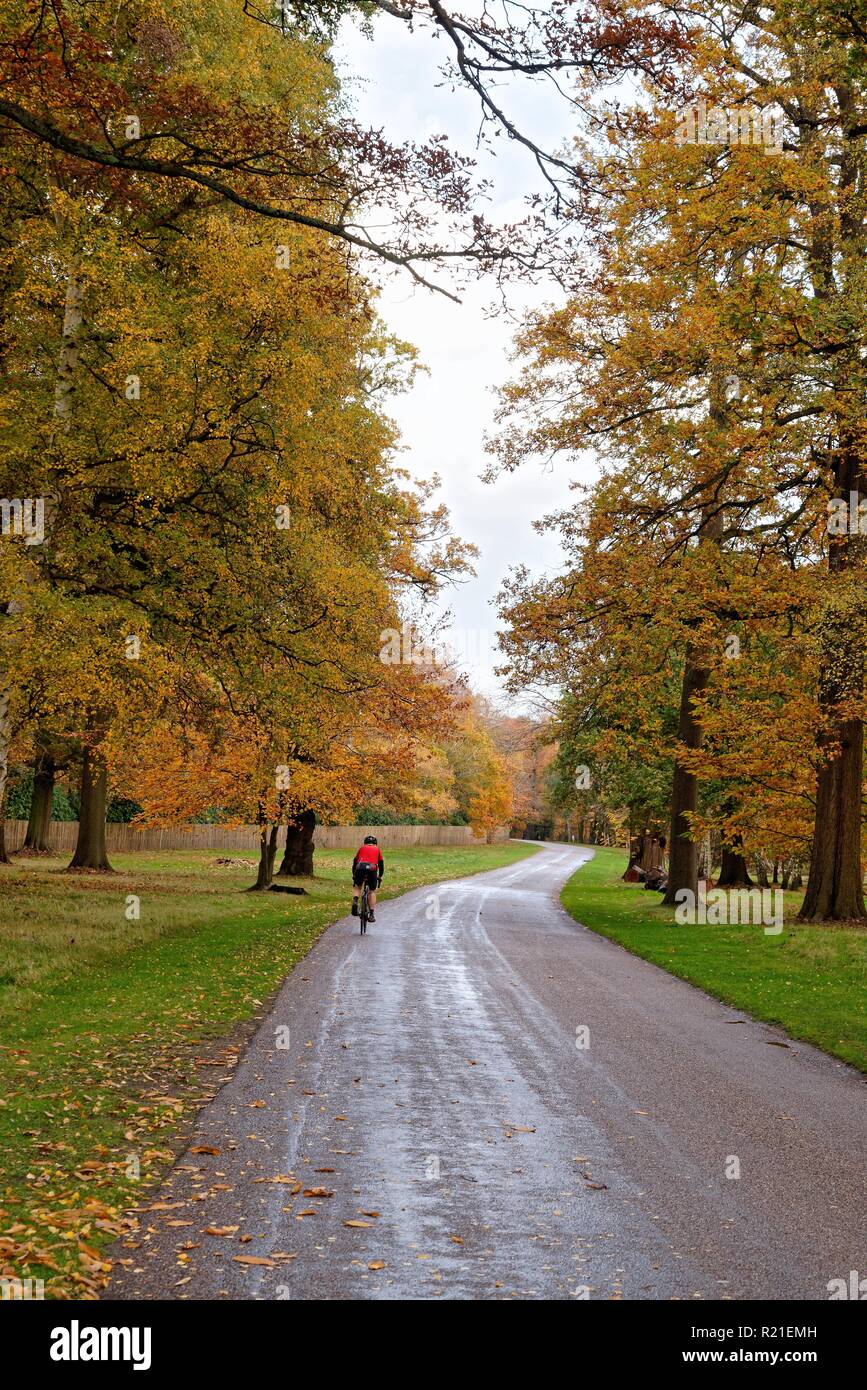 Windsor landscape hi-res stock photography and images - Alamy