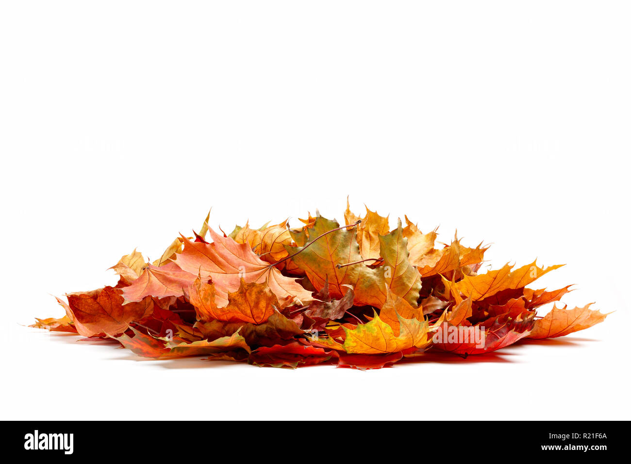 Pile Leaves Transparent