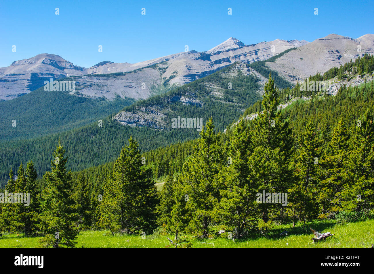 mountain vistas in Alberta Canada Stock Photo - Alamy