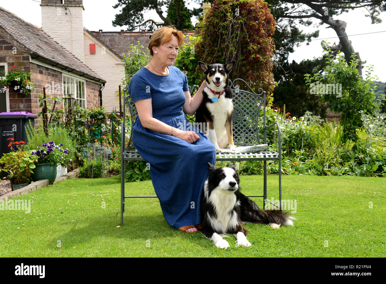Woman with pet pets dog dogs Stock Photo - Alamy