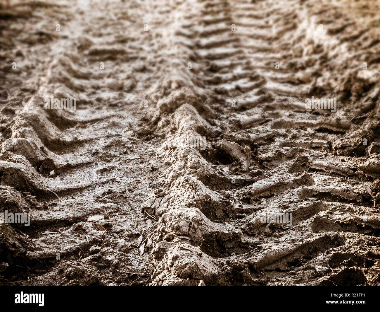 tyre tracks in the mud Stock Photo - Alamy