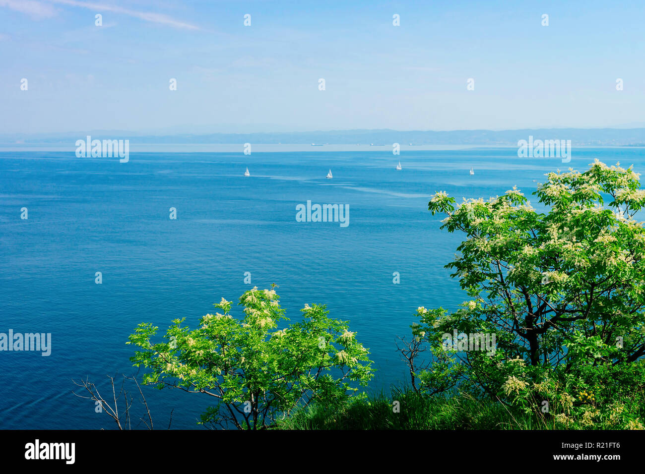 Nature and Adriatic sea in the Strunjan National Park of Slovenia Stock ...