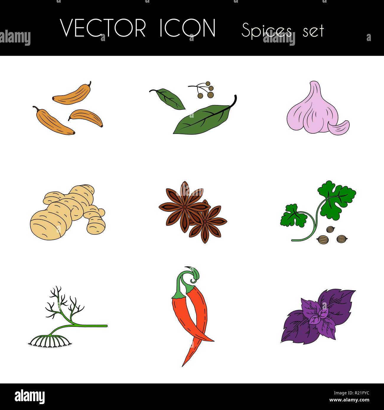 Spices vector vectors hi-res stock photography and images - Alamy
