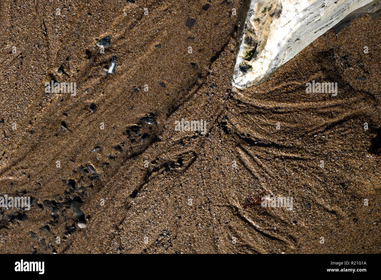 rock bottom eroded by sea water Stock Photo - Alamy