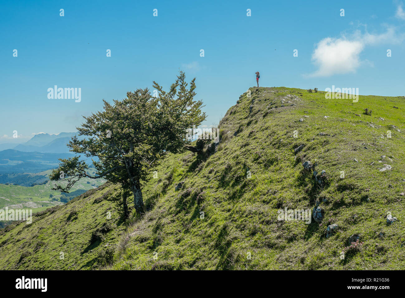 green mountain and blue sky with a path Stock Photo - Alamy