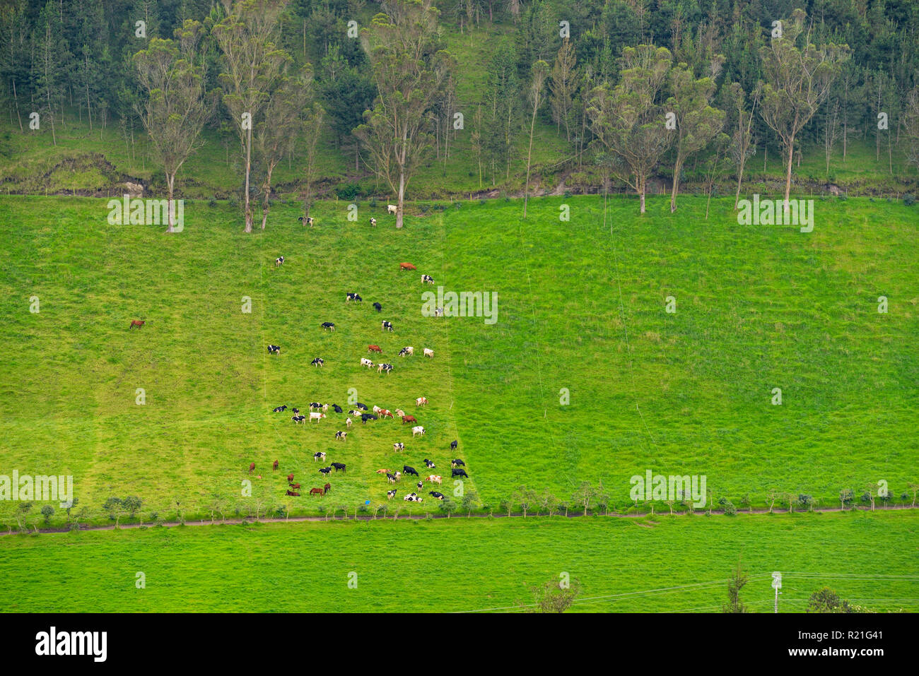 Overview of the town of Nono with surrounding valley from a high ...
