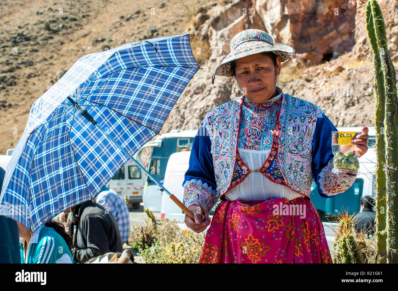 A woman dressed in a traditional colorful Peruvian outfit against the ...
