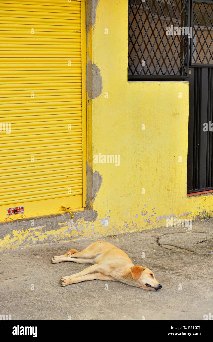 Street scenes in an Ecuadorian village, Nono, Pichincha, Ecuador Stock ...
