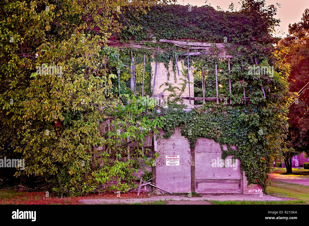 Carolyn Bryant Store