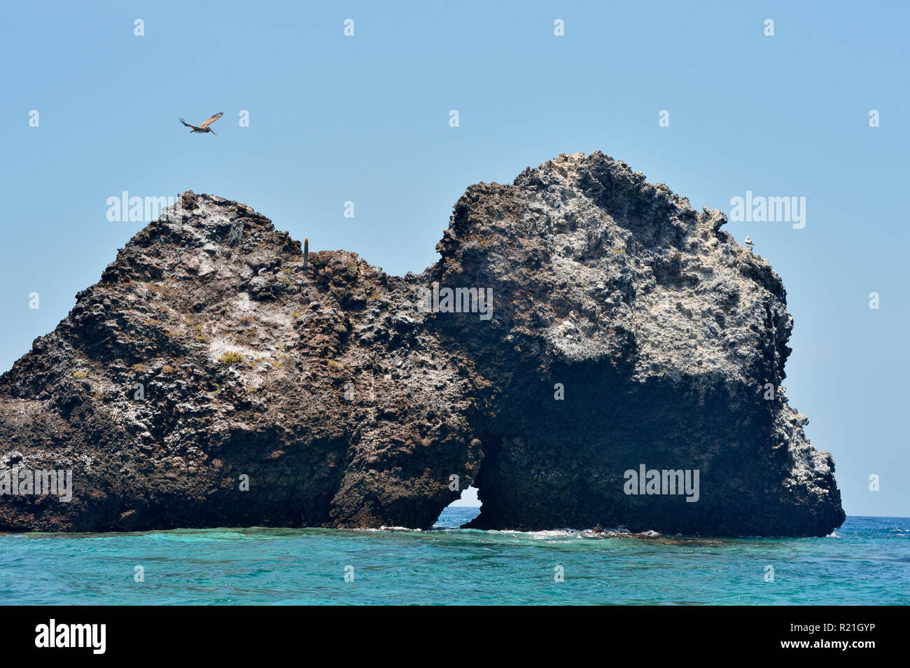 Devil's Crown from a panga- Igneous outcrops and cacti, Galapagos ...