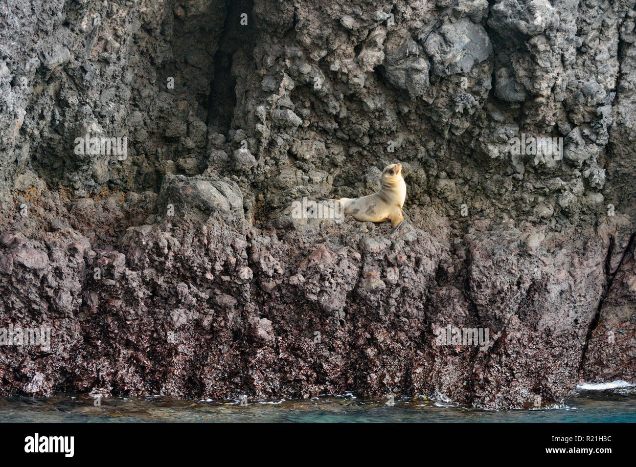 Cliffs on Hood Island, from a panga/zodiac, Galapagos Islands National ...
