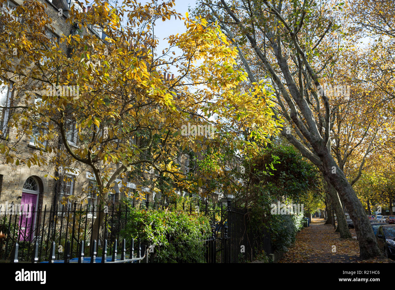 Camberwell grove hi-res stock photography and images - Alamy