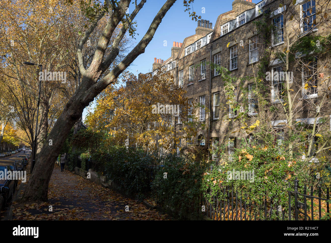 Camberwell grove hi-res stock photography and images - Alamy