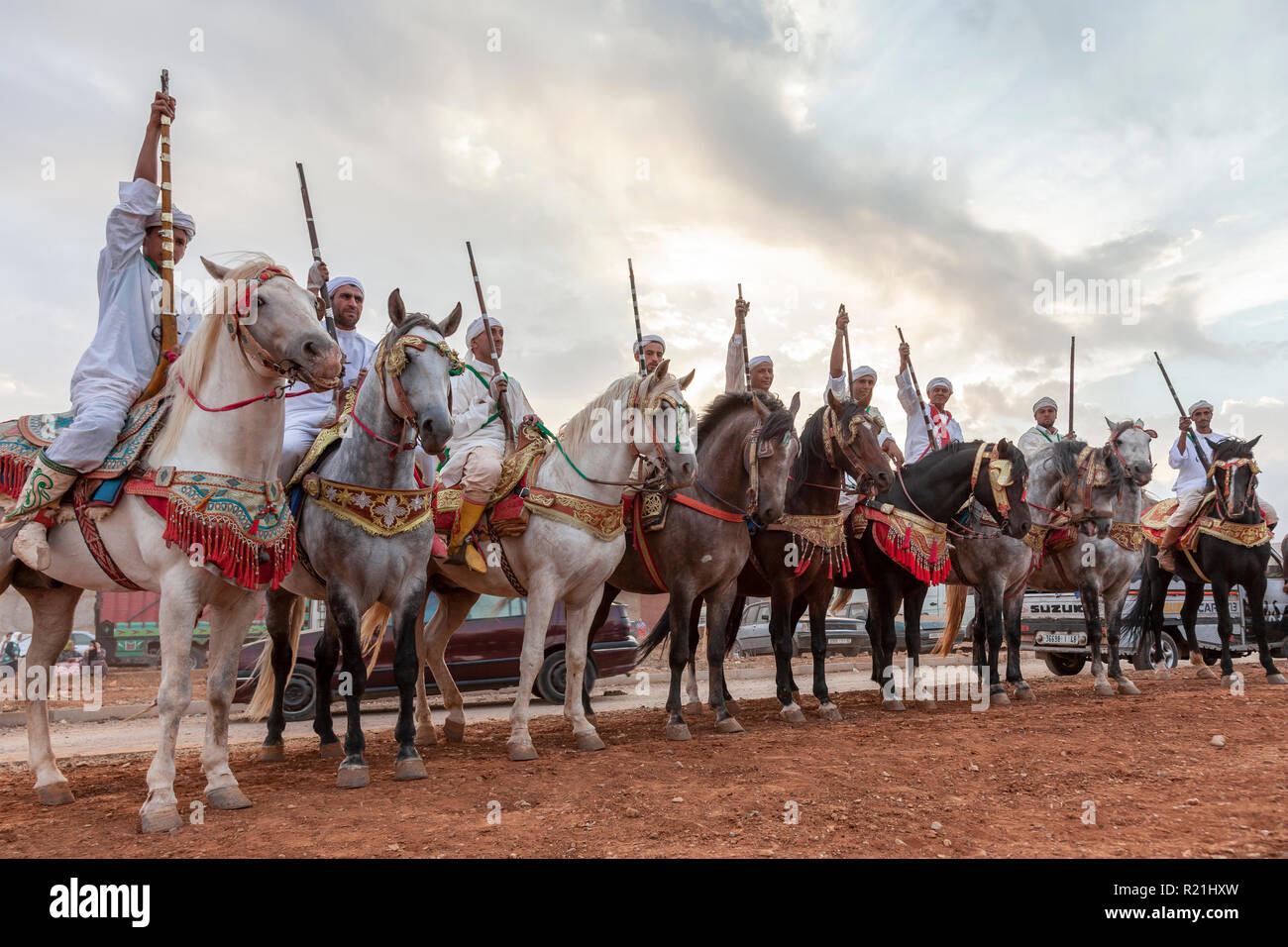 Cheval arab maroc hi-res stock photography and images - Alamy