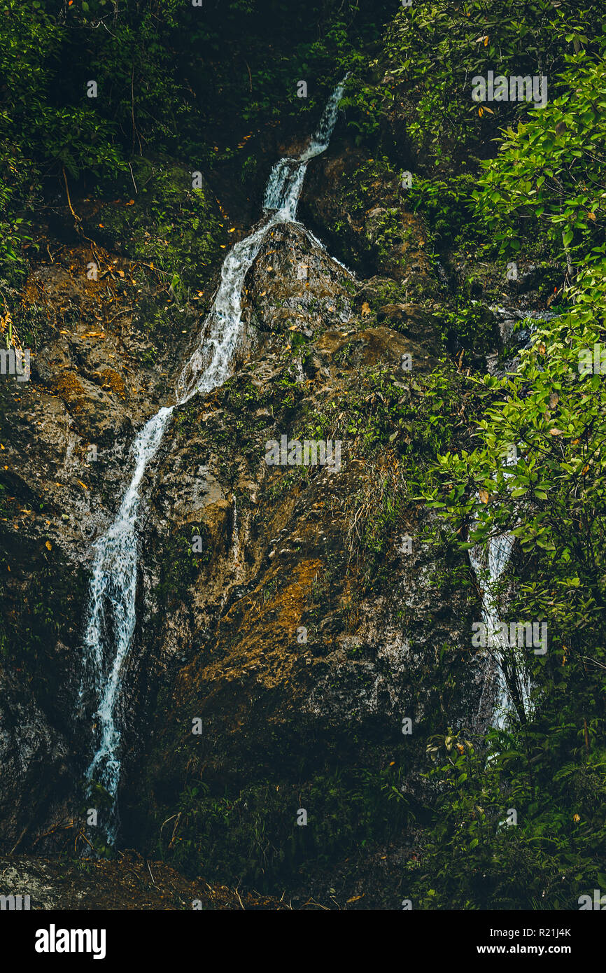 Amazon rainforest landscape waterfall hi-res stock photography and ...