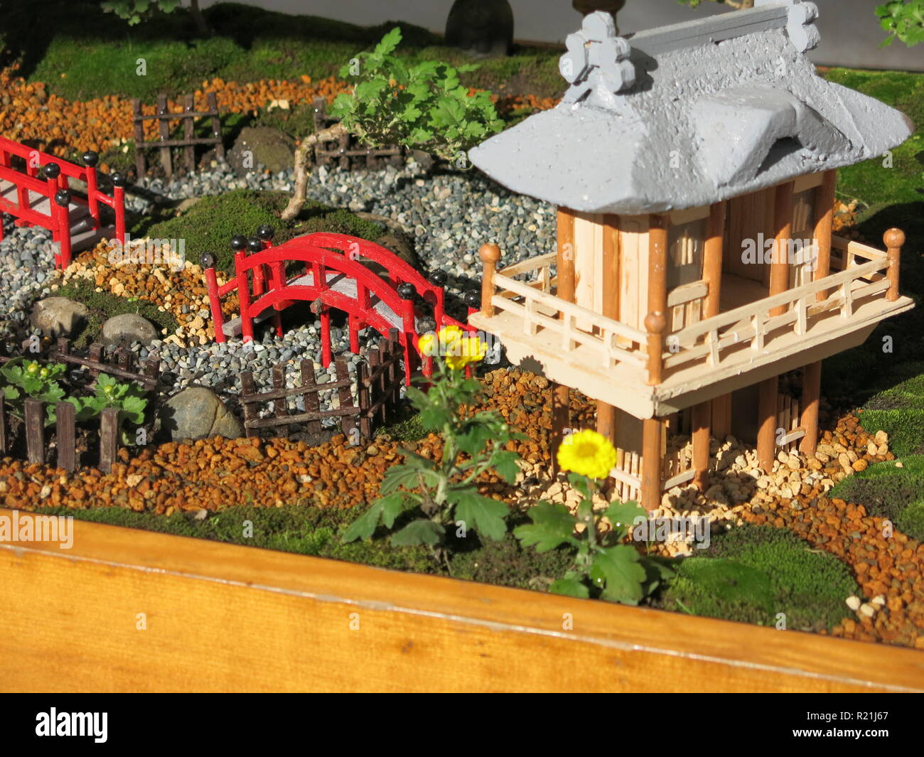 The Japanese art of chrysanthemum bonsai growing - the October 2018 ...