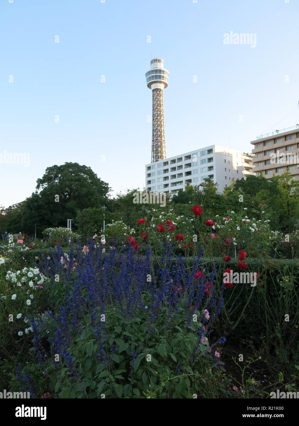 The "Rose Garden of the Future" on the waterfront at Yamashita Park in ...