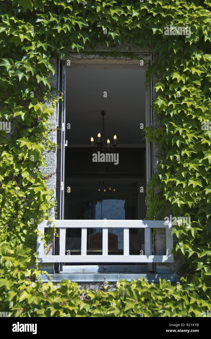 Ww2 free french leader hi-res stock photography and images - Alamy