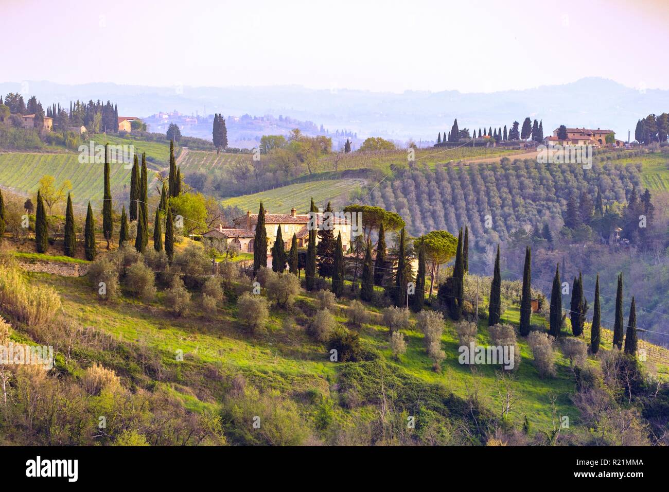 typical Tuscan landscape - a view of a villa on a hill, a cypress alley ...