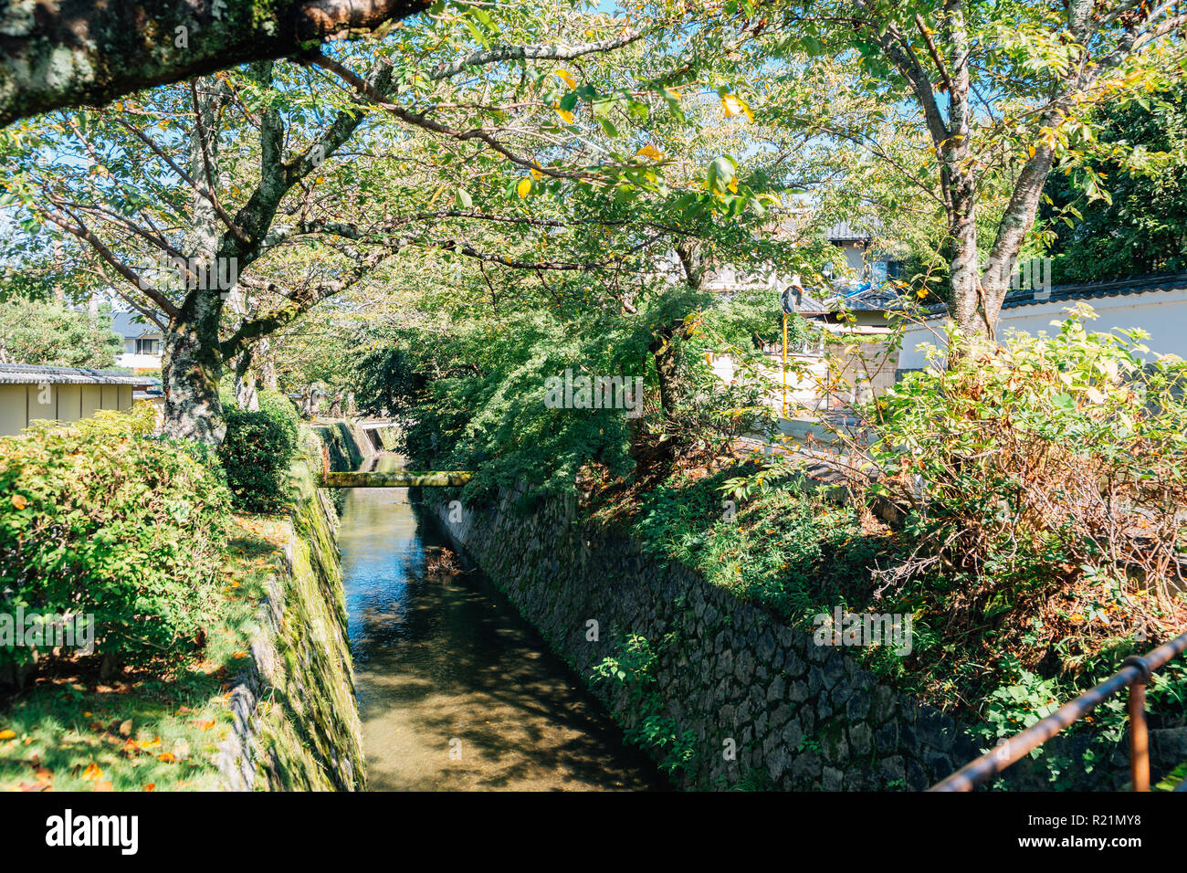 Philosophers Road High Resolution Stock Photography and Images - Alamy