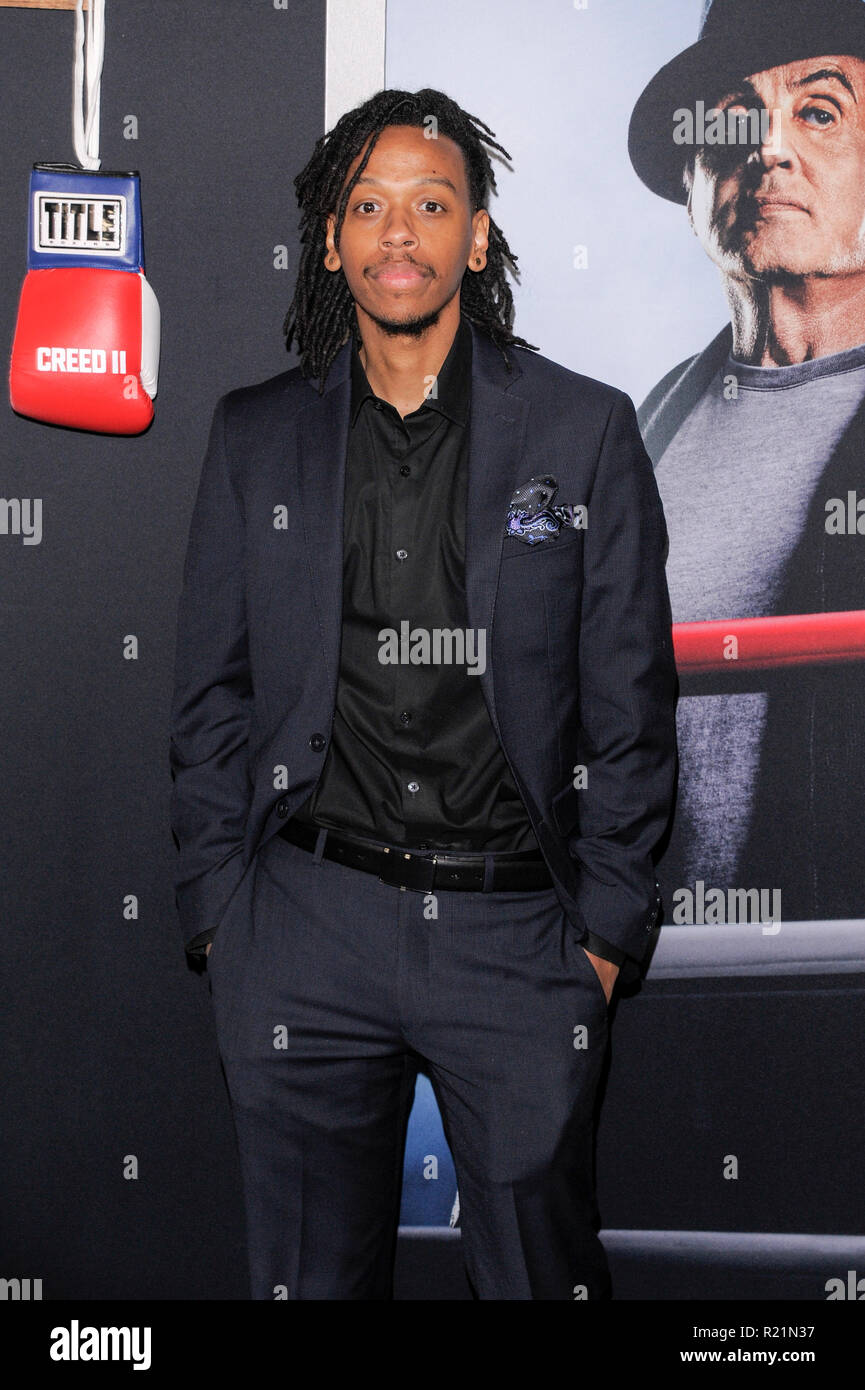 NEW YORK, NY - NOVEMBER 14: Juel Taylor attends 'Creed II' World ...