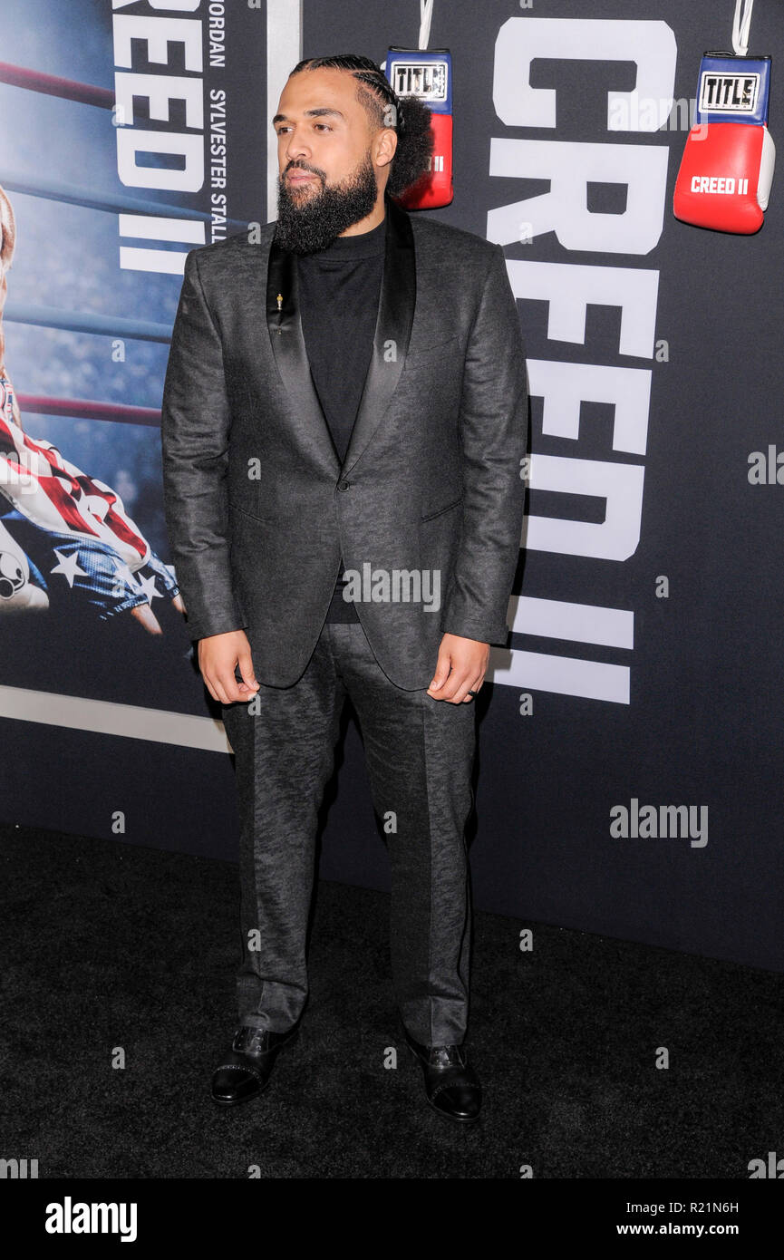 NEW YORK, NY - NOVEMBER 14: Steven Caple Jr. attends 'Creed II' World ...