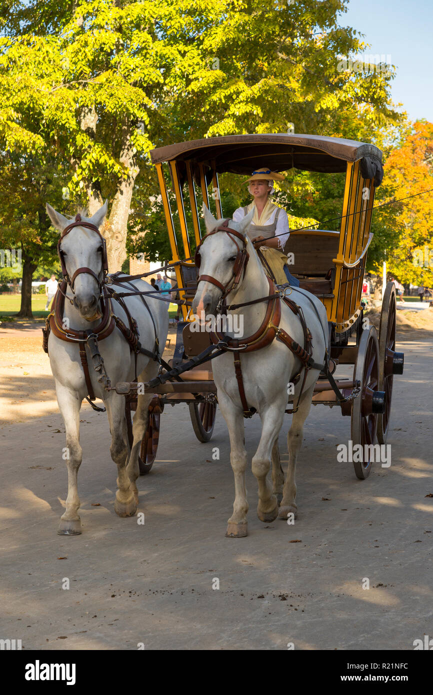 Carriage and horses colonial williamsburg virginia hi-res stock ...