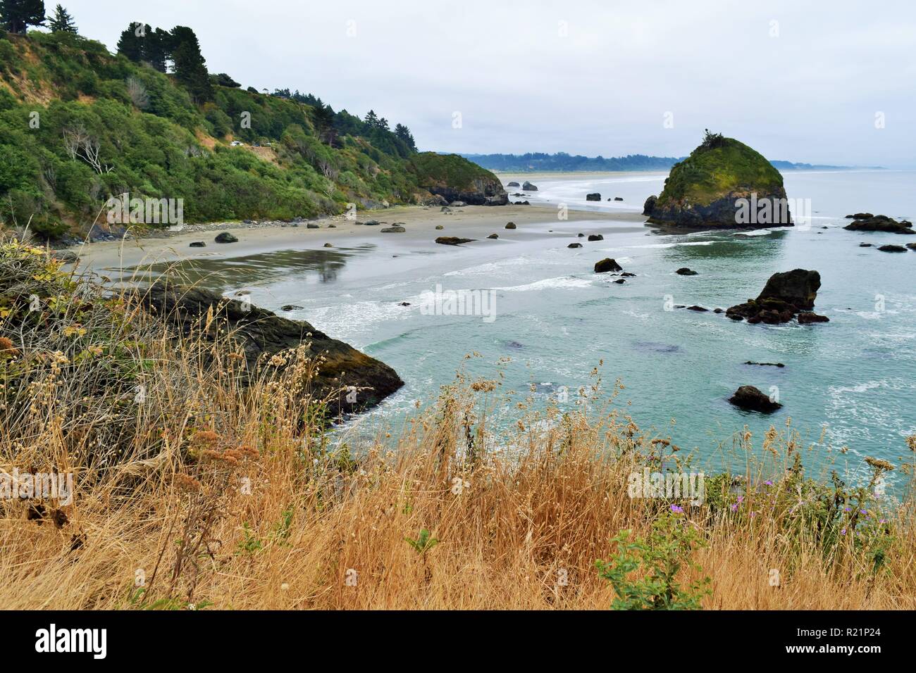 Colorful Shoreline of the Pacific Ocean Stock Photo - Alamy