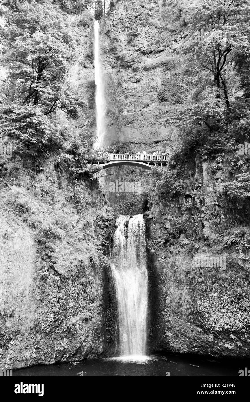 Multnomah Falls in black and white Stock Photo - Alamy