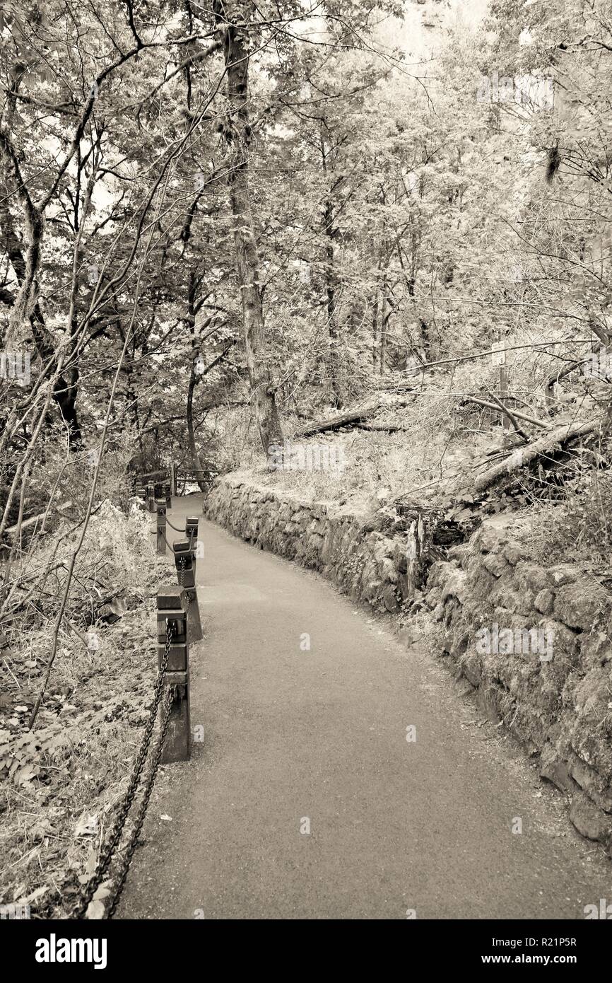 Black Tinted High Resolution Stock Photography and Images - Alamy
