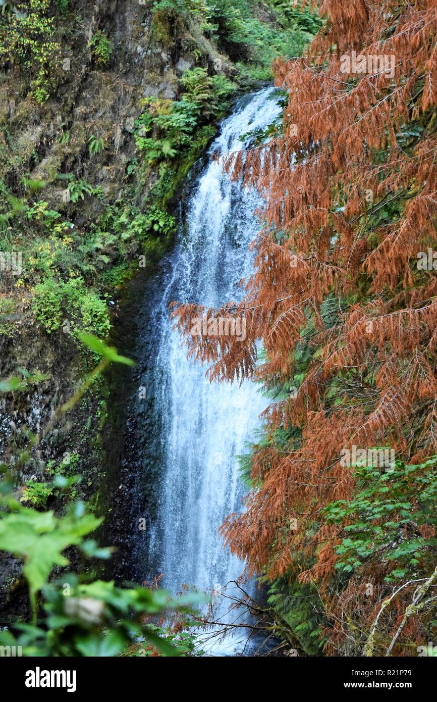 Oregon scenery hi-res stock photography and images - Alamy