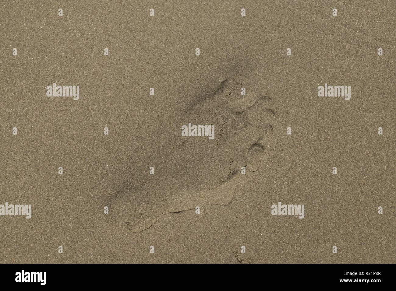 Foot mark in the sand hi-res stock photography and images - Alamy